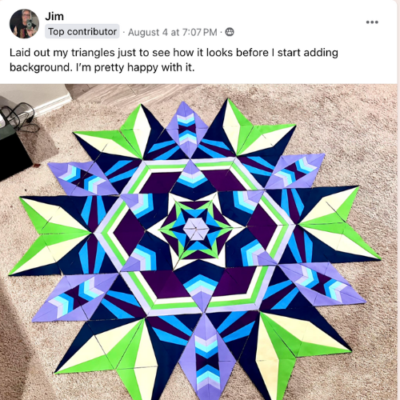 Curved Blocks are a Hit! - Bryan House Quilts